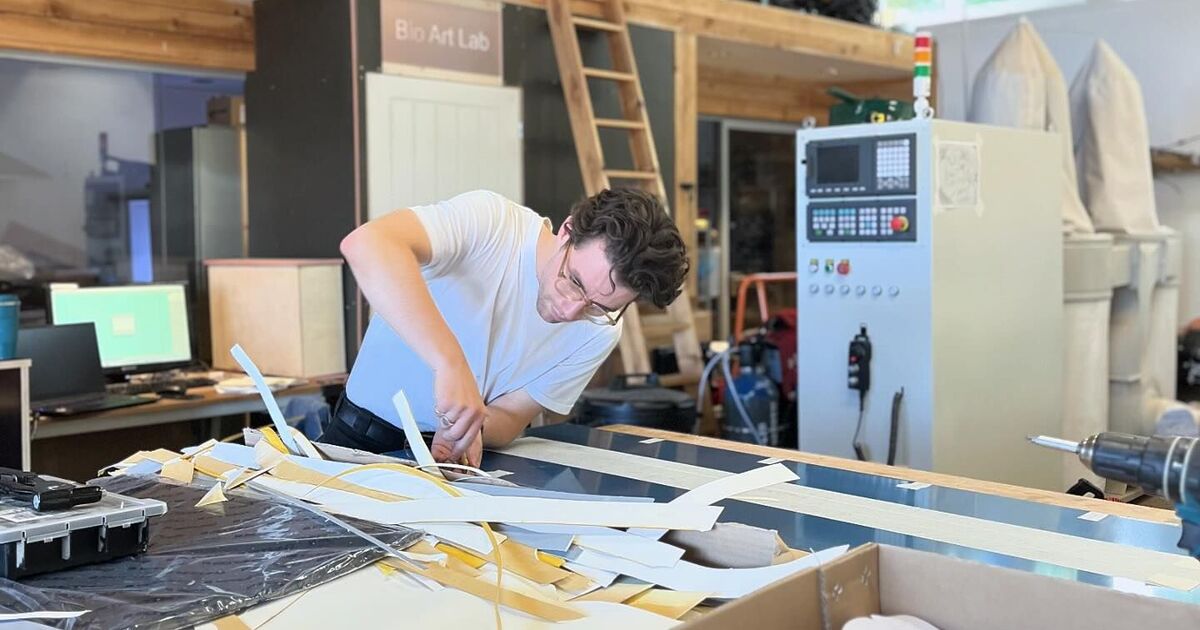 Invisible Flock Barnsley Artist Residency | Barnsley Museums