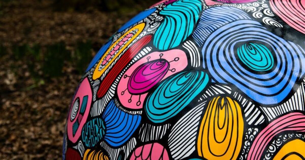 Colour Forms, Artist Residency | Barnsley Museums